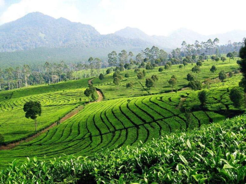 JAKARTA : JAVA TOURS TO BANDUNG/YOGYAKARTA/BROMO/IJEN - The Value of This Tour