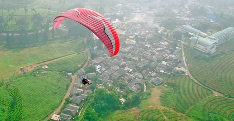 Jakarta: Paragliding on Top Mountain & Tea Plantation - The Itinerary in Detail