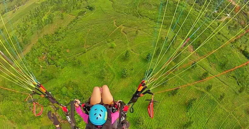 Jakarta: Paragliding on Top Mountain & Tea Plantation - Why This Tour Offers Real Value
