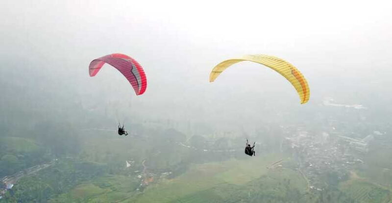 Jakarta: Paragliding on Top Mountain & Tea Plantation - Who Should Consider This Experience?