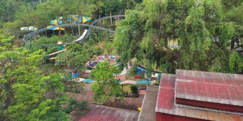 Jakarta Private Tour Safari Park, Tea Plants & Waterfall - Key Points