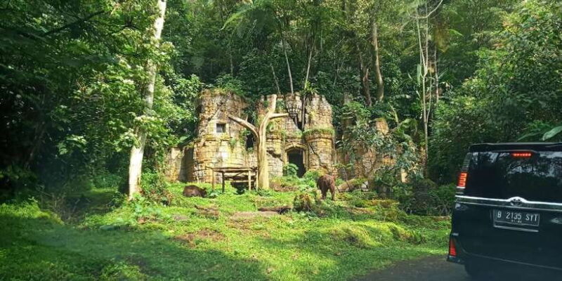 Jakarta Private Tour Safari Park, Tea Plants & Waterfall - Exploring the Scenic Highlands: Tea Plantations & Jaksa Waterfall