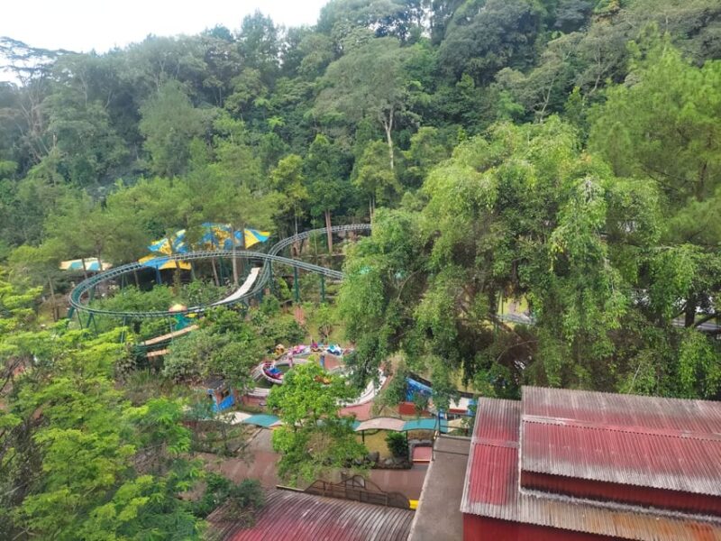 Jakarta Private Tour Safari Park, Tea Plants & Waterfall - Final Thoughts