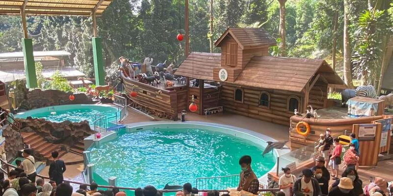 Jakarta : Safari Park Show, Tea Plantation & Waterfall - Detailed Breakdown of the Itinerary