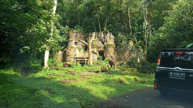 Jakarta : Safari Park Show, Tea Plantation & Waterfall - Who Will Love This Tour?