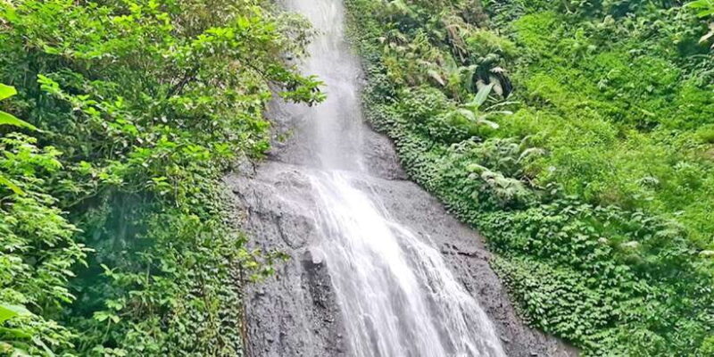 Jakarta : Safari Park Show, Tea Plantation & Waterfall - FAQ