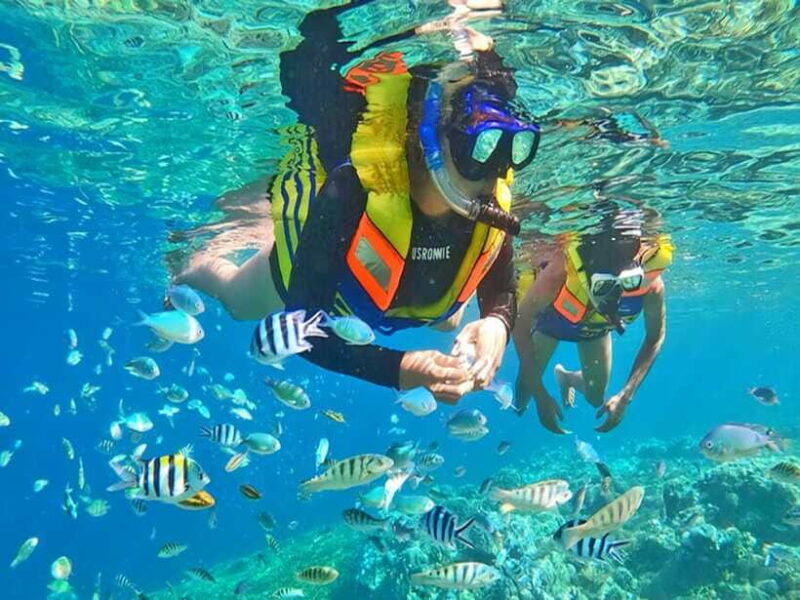 Jakarta: Thousand Island similar Bali Island Tour - The Realities of the Experience: Pros and Cons