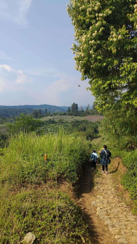Jakarta to Bogor: Luhur Waterfall and Lake Lido Day Trip - Practical Details and Tips for Travelers