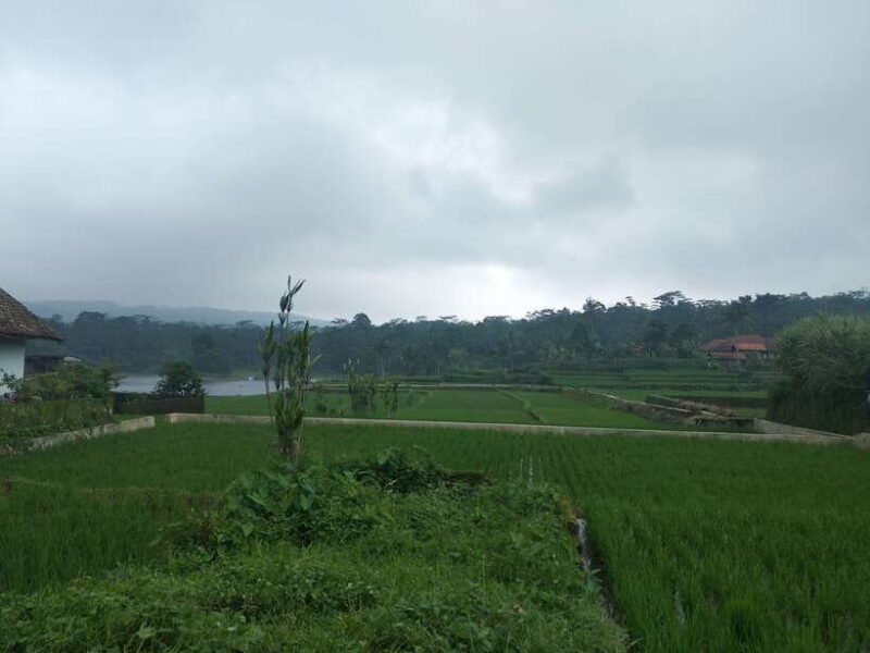 Jakarta: Volcano, Hot Spring, Tea, Rice Fields, &Coffee tour - Practical Tips for Making the Most of the Tour