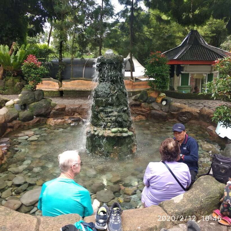 Jakarta: Volcano, Hot Spring, Tea, Rice Fields, &Coffee tour - Who Would Love This Tour?