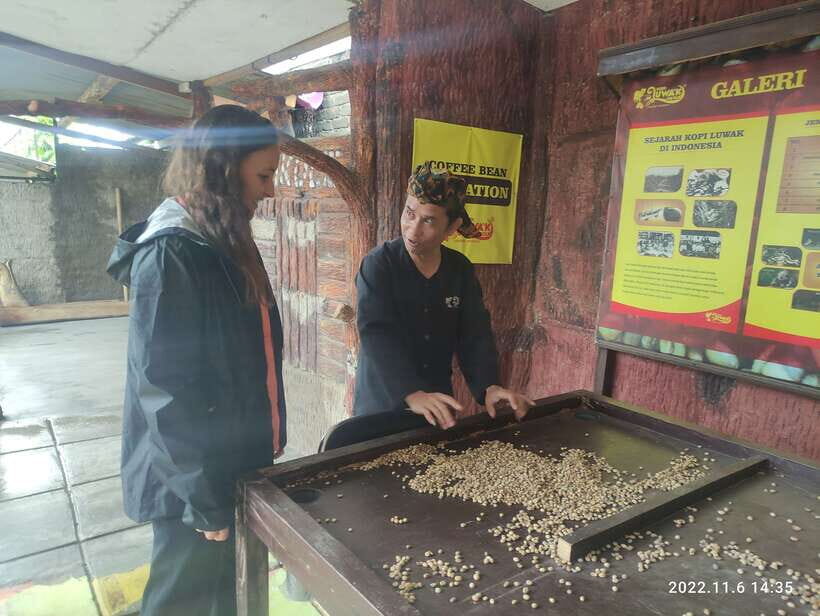 Jakarta :Volcano, HotSpring, Tea Factory, RiceField, &Coffee - Who Is This Tour Best For?