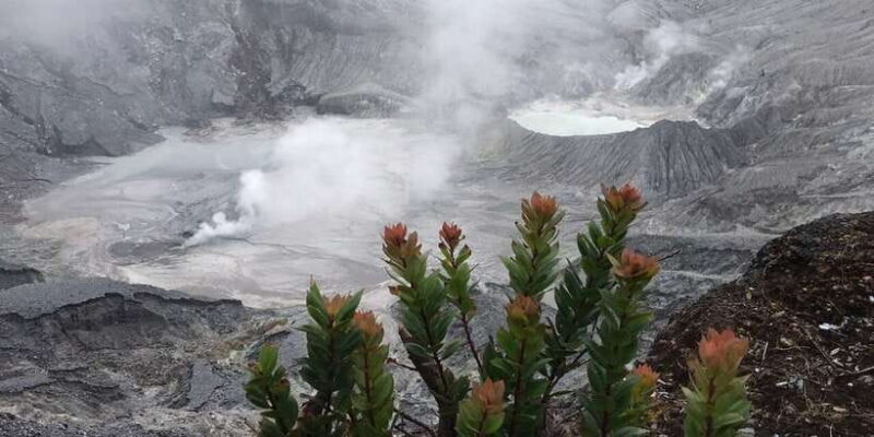 Jakarta: Volcano, Tea/Rice Fields, Hot Spring, Local Food - Key Points