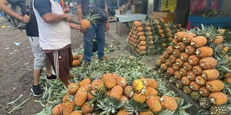 Jakarta: Volcano, Tea/Rice Fields, Hot Spring, Local Food - Lembang: Lunch and Coffee