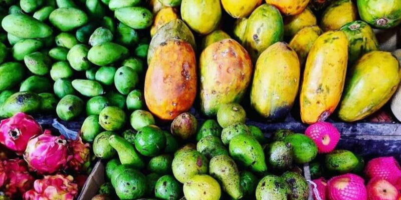 Jakarta: Volcano, Tea/Rice Fields, Hot Spring, Local Food - Returning to Jakarta