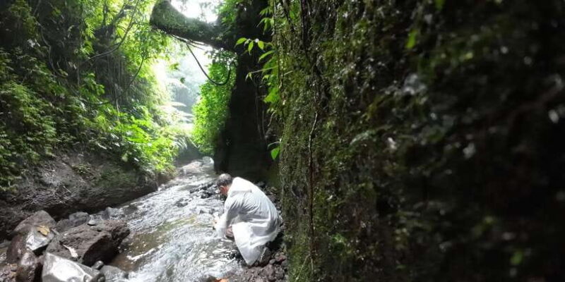 Jakarta: Waterfalls, Volcano, White Crater, Tea, Hot Spring - What Travelers Are Saying