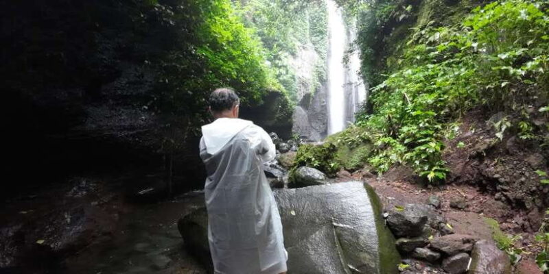 Jakarta: Waterfalls, Volcano, White Crater, Tea, Hot Spring - Why This Tour Is Worth It for You