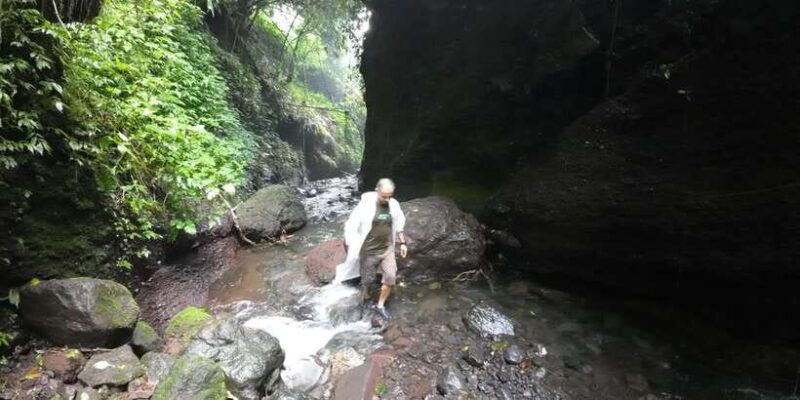 Jakarta: Waterfalls, Volcano, White Crater, Tea, Hot Spring - Who Should Consider This Tour?