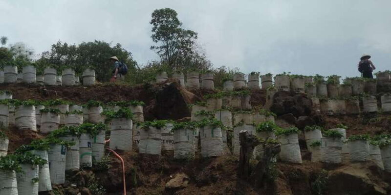 Jakarta: Waterfalls, Volcano, White Crater, Tea, Hot Spring - Frequently Asked Questions