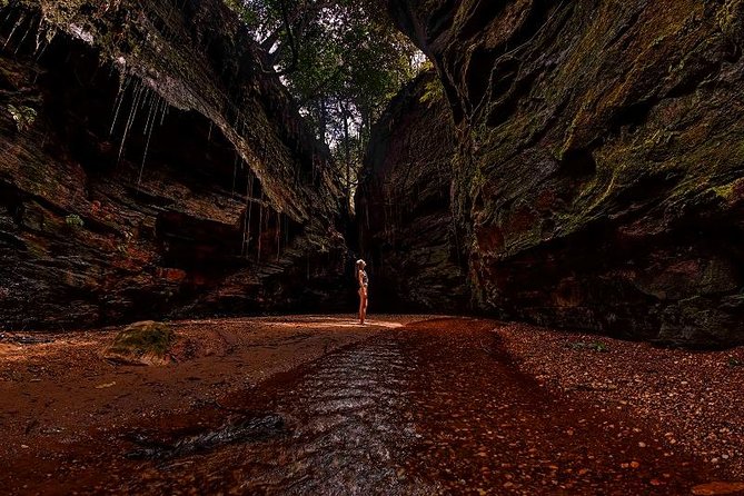 JALAPÃO 4 DAYS - Nature and Culture - Travelers Reviews and Recommendations