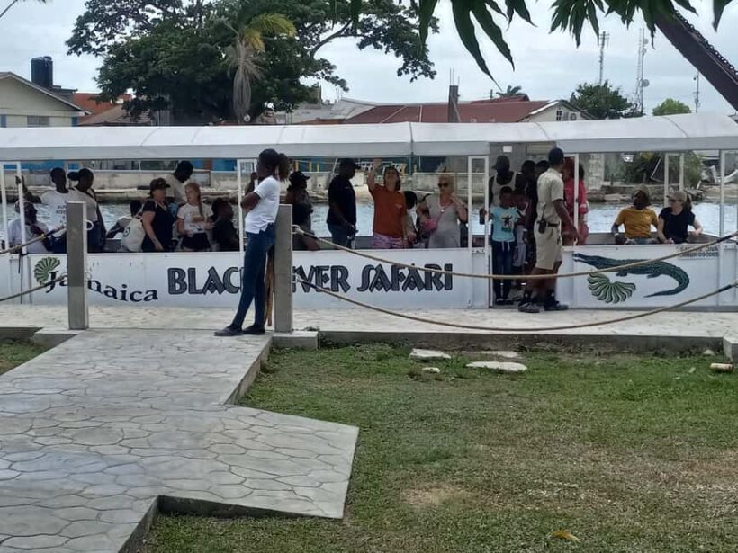 Jamaica: Black River Safari Guided Tour and YS Falls Tour - Who Should Consider This Tour?