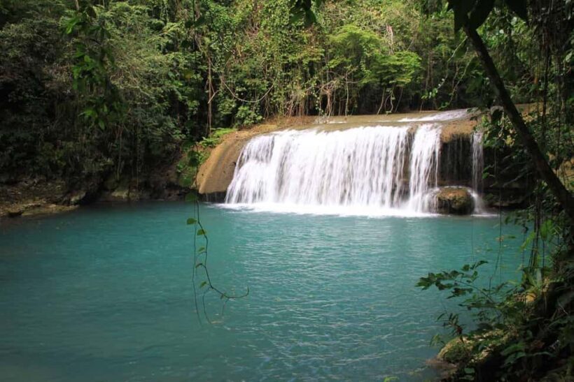 Jamaica: Black River Safari Guided Tour and YS Falls Tour - FAQ