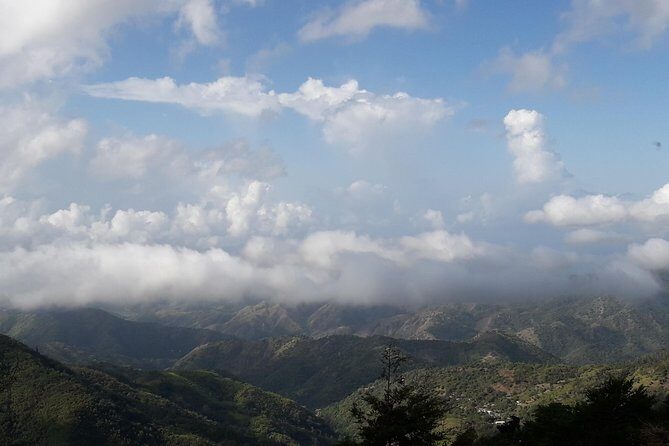 Jamaica Blue Mountain Guided Nature Tour - Value and Practical Considerations