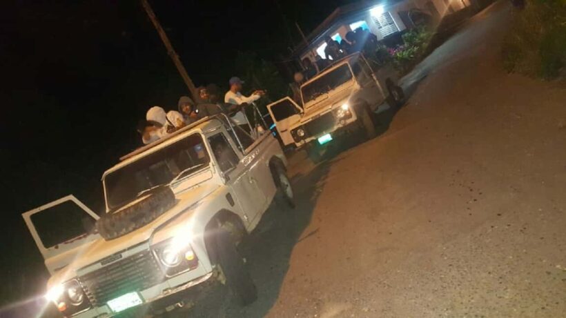 Jamaica: Blue Mountain Peak Hiking Tour - An In-Depth Look at the Tour