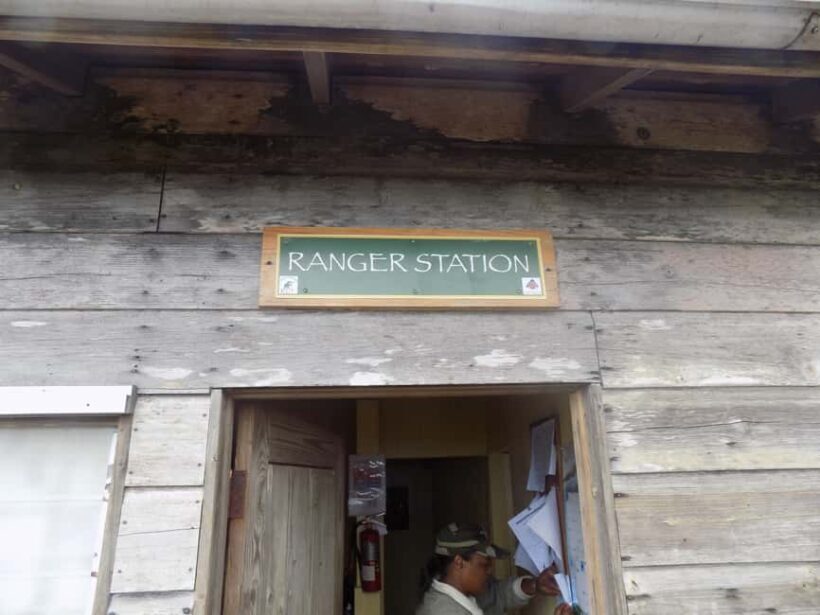 Jamaica: Blue Mountain Peak Hiking Tour - Final Thoughts