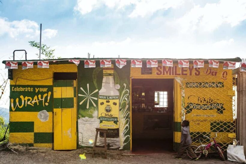 Jamaica: Blue Mountains Full Day Tour with Brunch & Lunch - Who Will Enjoy This Tour Most?