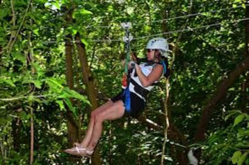 Jamaica Bobsled and Zip Line Adventure Tour - Who Will Love This Tour?