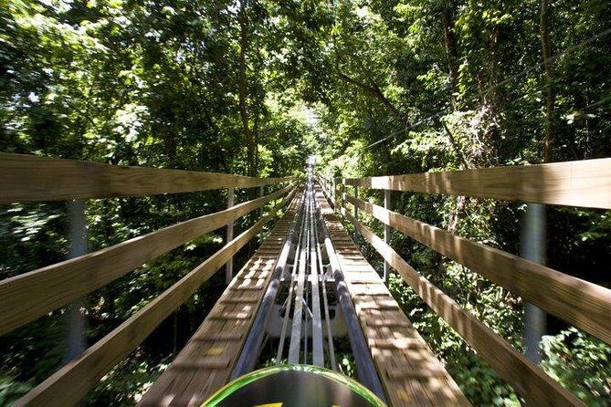 Jamaica Bobsled (Mystic Silver) Adventure Tour - What the Jamaica Bobsled (Mystic Silver) Adventure Tour Offers