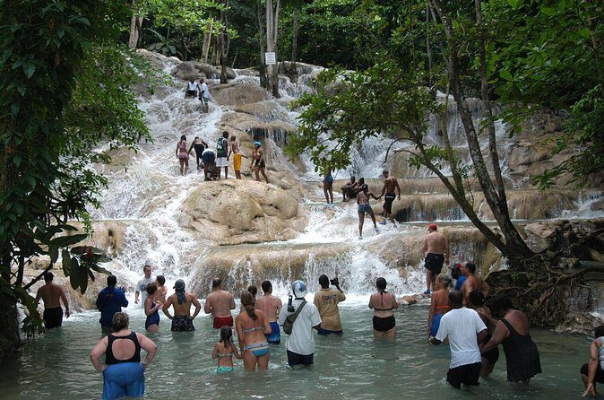Jamaica Dunn's River Falls Party Cruise with Snorkeling - What Travelers Are Saying