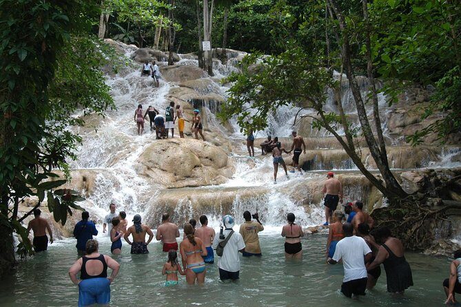 Jamaica Dunn's River Falls Party Cruise with Snorkeling - Final Thoughts: Who Is This Tour Best For?
