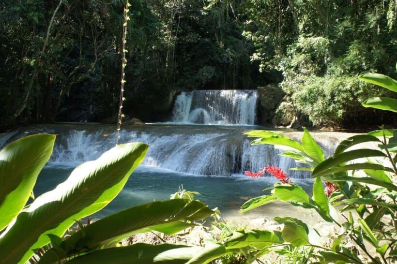 Jamaica: Dunn's River Falls Private Tour with Jerk Lunch - FAQ