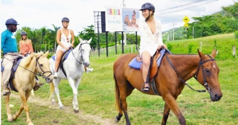 Jamaica: Private Horseback Ride and Swim in the Sea - Starting Point: Sandy Bay and Hotel Pickup
