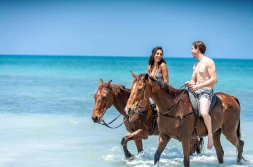 Jamaica: Private Horseback Ride and Swim in the Sea - Pricing & Value