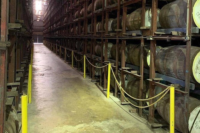 Jamaica South Coast 2 in 1 Tour - Who Will Love This Tour?