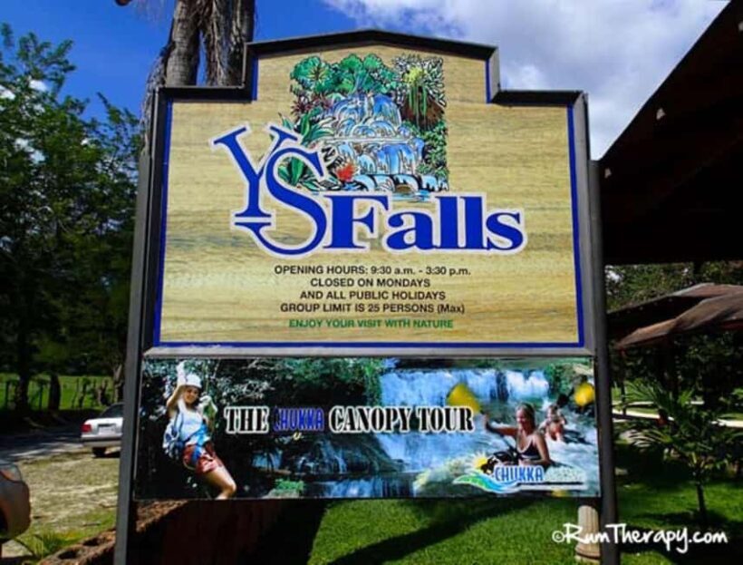 Jamaica: YS Falls and Black River Safari Tour - Key Points