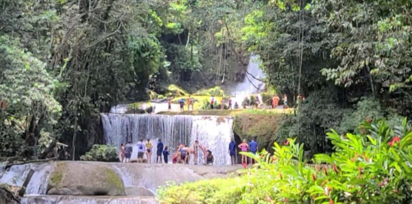 Jamaica: YS Falls and Black River Safari Tour - An Overview of the Tour Experience