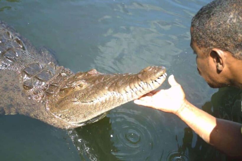 Jamaica: YS Falls and Black River Safari Tour - Transportation and Overall Logistics