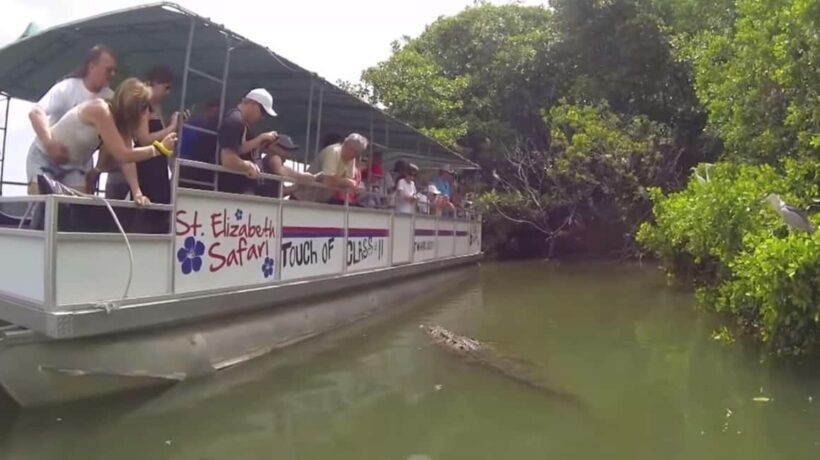 Jamaica: YS Falls and Black River Safari Tour - FAQ