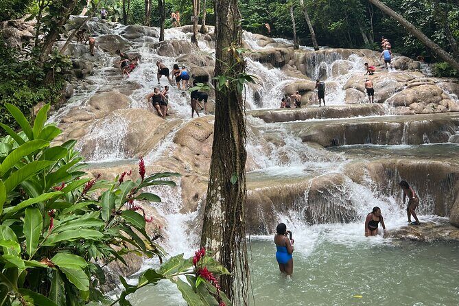 Jamaican Escapade Experience Dunn's River's Natural Majesty - What to Expect from the Dunn’s River Falls Tour