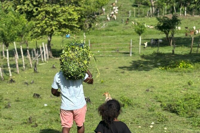 Jamaican Farm Life, Local Beach Experience - Family Friendly - Who Will Love This Tour?