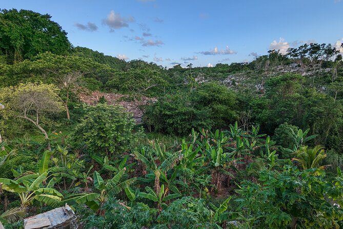 Jamaican Roots Tropical Farm Tour - Taste & Explore (Negril) 2hr - The Food and Drink: Juices, Fruits, and Optional Meals