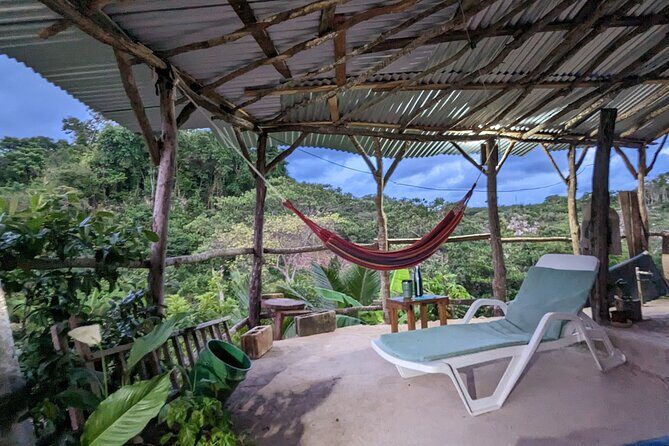 Jamaican Roots Tropical Farm Tour - Taste & Explore (Negril) 2hr - What the Reviews Say