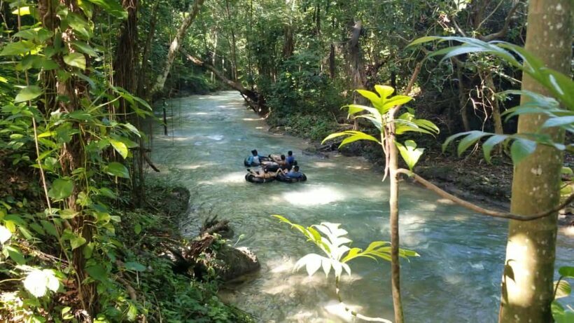 Jamaica's Dunn's River Falls & River Tubing Tour - A Closer Look at the Itinerary
