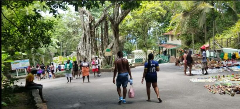 Jamaica's Dunn's River Falls & River Tubing Tour - Who Would Love This Tour?