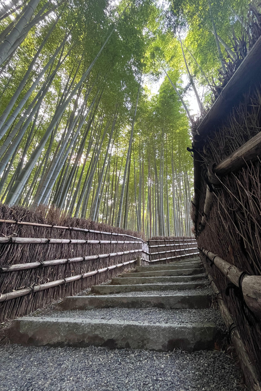 Japan: 6-Day Culinary Tour With Chef in Tokyo & Kyoto - Exploring Tokyos Diverse Culinary Scene