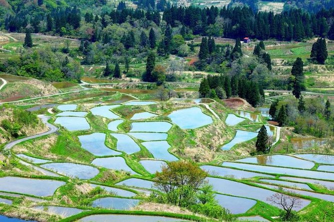 Japan Discovery Tour (12 Days) - Booking and Cancellation Policies