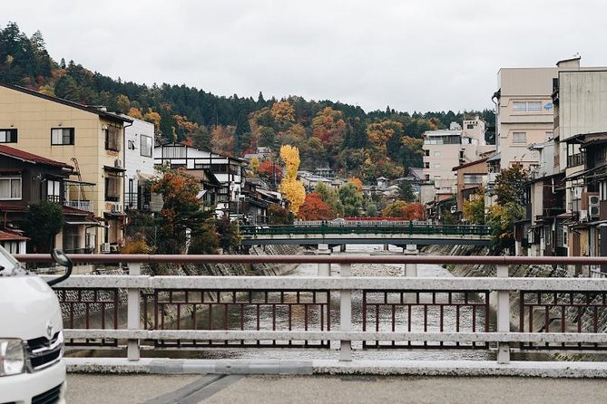 Japan Discovery Tour (12 Days) - Guest Reviews and Guides